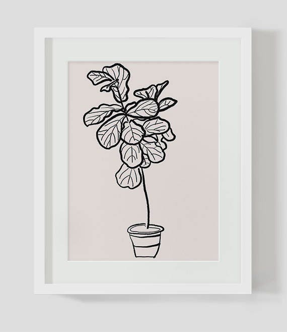 Fiddle Fig Tree Illustration, Fiddle Fig, Drawing, Illustration ...