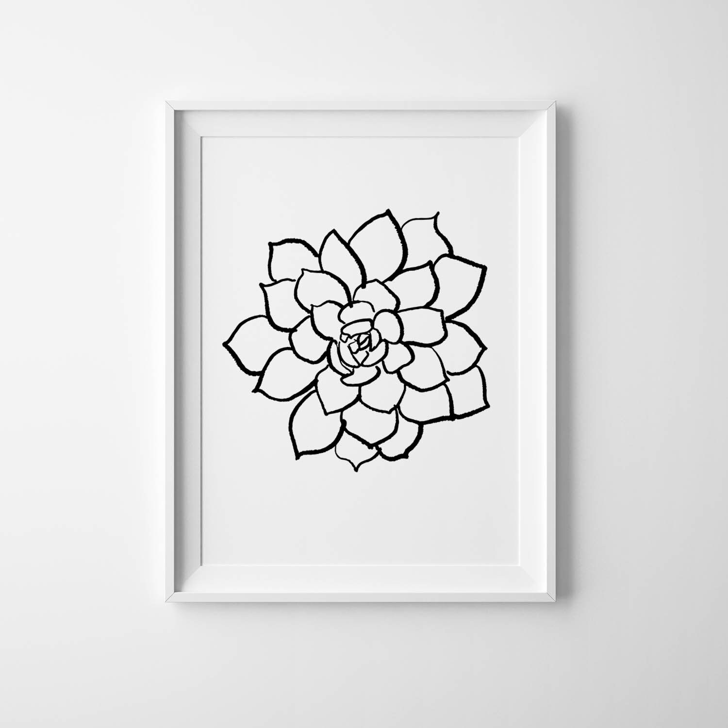 Succulent Illustration, Succulent Art, Drawing, Illustration, Printable ...