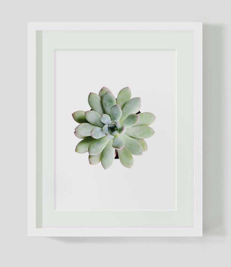 Succulent Art, Printable Succulent, Plant Photography, Succulent Poster ...