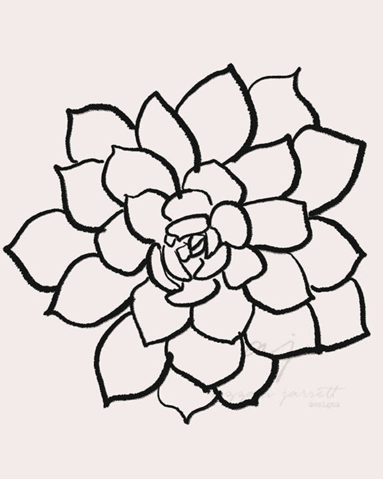 Succulent Illustration, Succulent Art, Drawing, Illustration, Printable ...