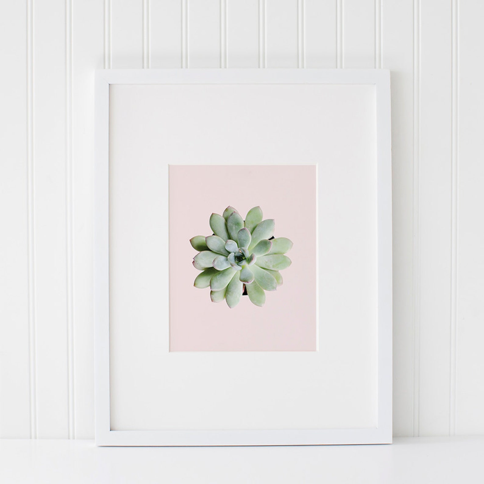 Pink Succulent Art, Printable Succulent, Plant Photography, Succulent ...
