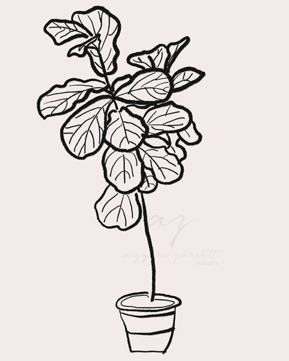 Fiddle Fig Tree Illustration, Fiddle Fig, Drawing, Illustration ...
