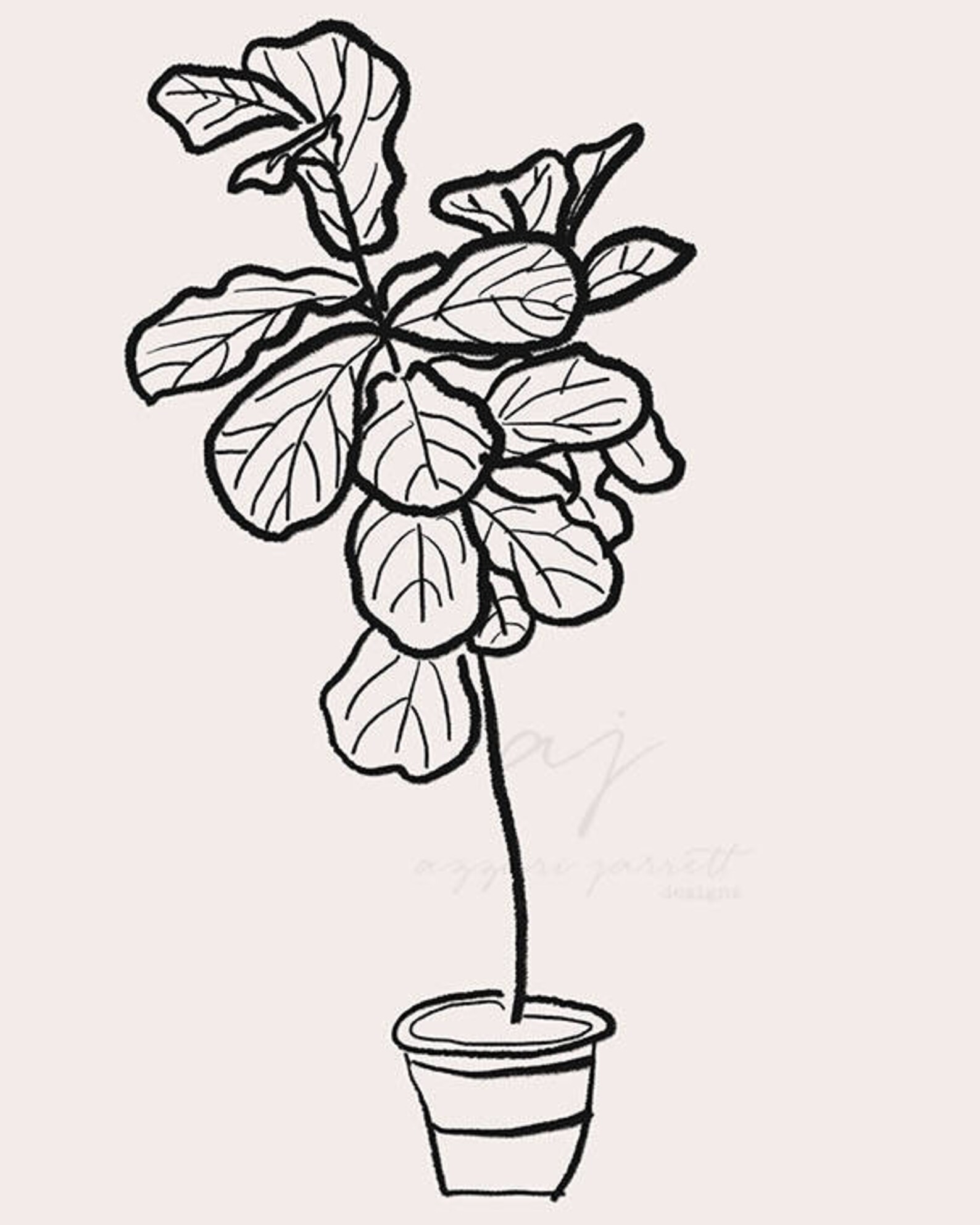 Fiddle Fig Tree Illustration, Fiddle Fig, Drawing, Illustration ...