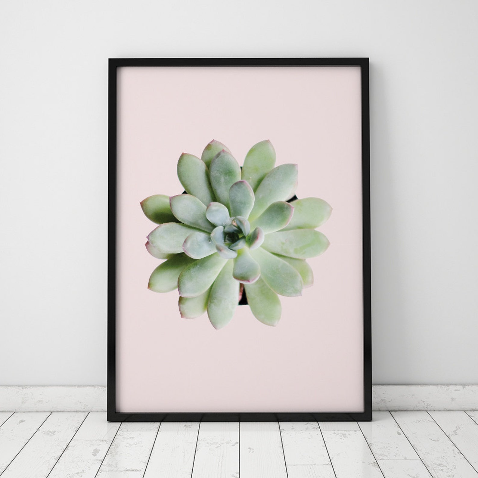Pink Succulent Art, Printable Succulent, Plant Photography, Succulent ...