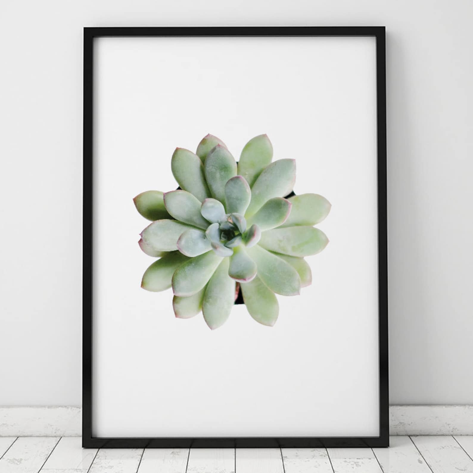 Succulent Art, Printable Succulent, Plant Photography, Succulent Poster ...