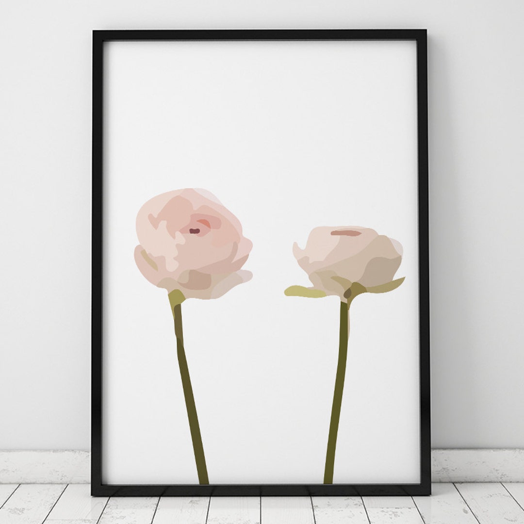 Minimalist Pink Ranunculus INSTANT DOWNLOAD Illustration Art, Pink ...