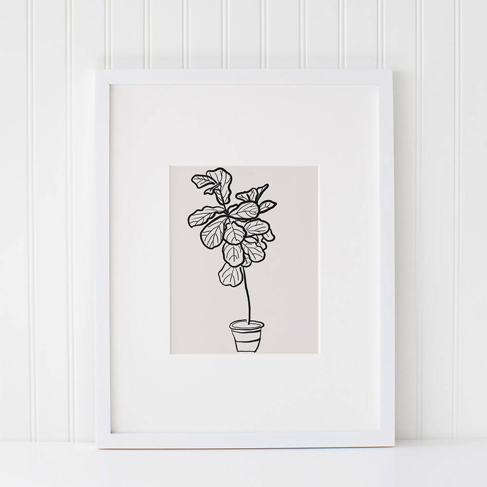 Fiddle Fig Tree Illustration, Fiddle Fig, Drawing, Illustration ...