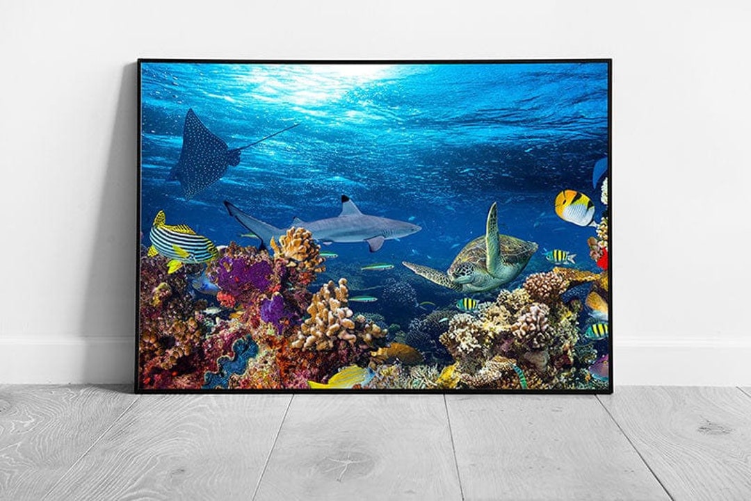 Busy Coral Reef Filled With Sea Life Shark Sting Ray Tropical Fish Sea ...