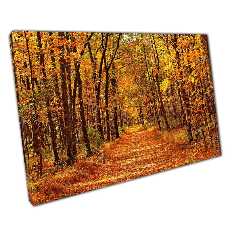 Fall Canvas Wall Art - Etsy