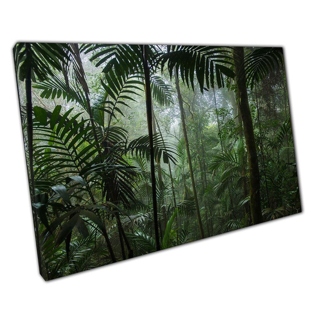 Tropical Jungle Tree Plant Life Canvas Wall Art Print for Home or ...