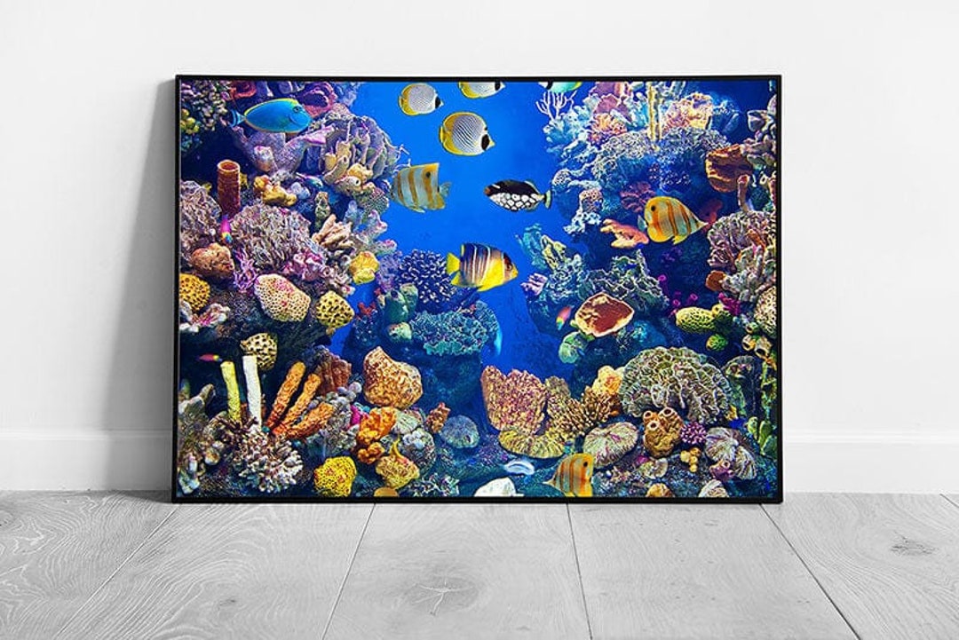 Lively Fish Filled Coral Reef Vibrant Corals and Fish Scales Tropical ...