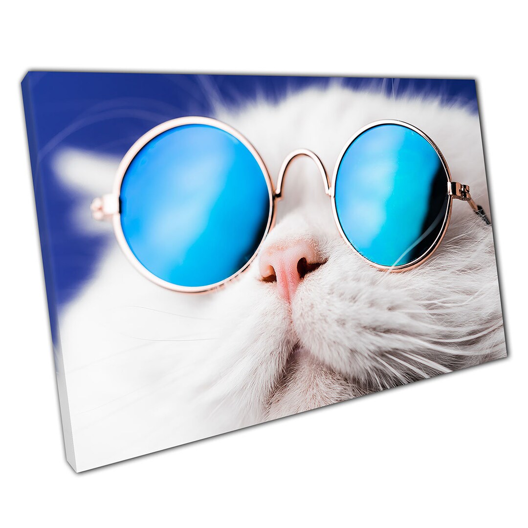 Funny Cool White Cat Posing in Reflective Blue Modern Retro Sunglasses ...