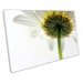 Print on Canvas Large Daisy Flower Canvas Wall Art Ready to Hang Print ...