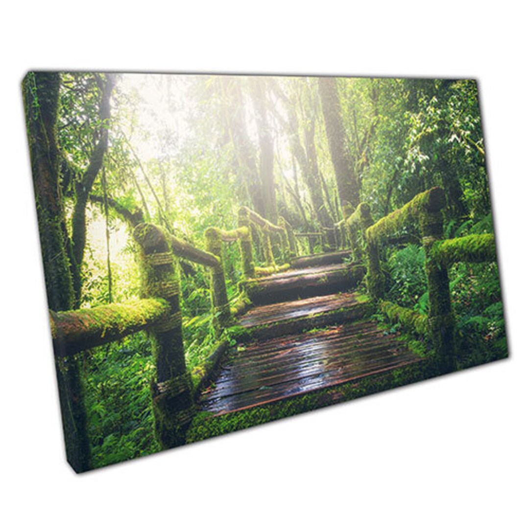 Print on Canvas Forest Steps Ready to Hang Canvas Wall Art Print ...
