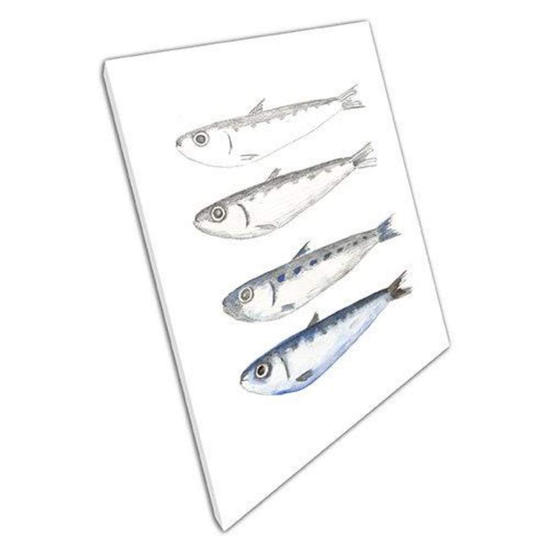 Sardine Illustration Canvas Print: Coastal Fish Art for Home and Office ...