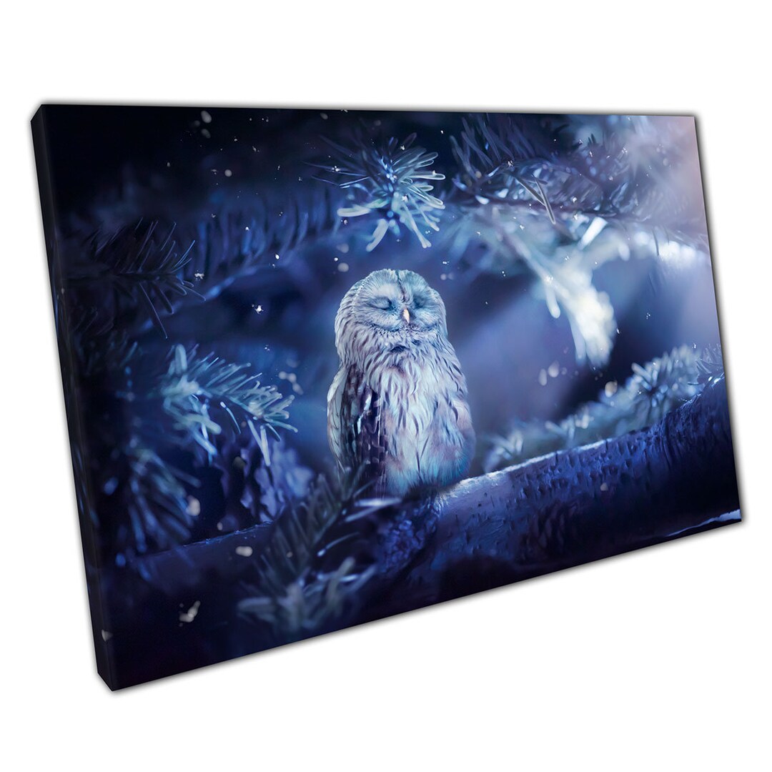 Sleepy Relaxed Owl Resting on A Tree Branch During Light Snowfall ...