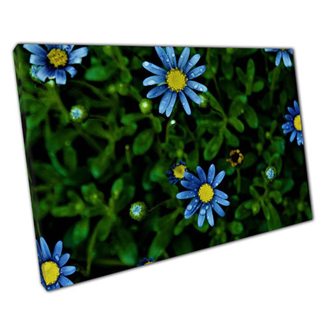 Print on Canvas Small Blue Daisy-like Flowers Ready to Hang Wall Art ...