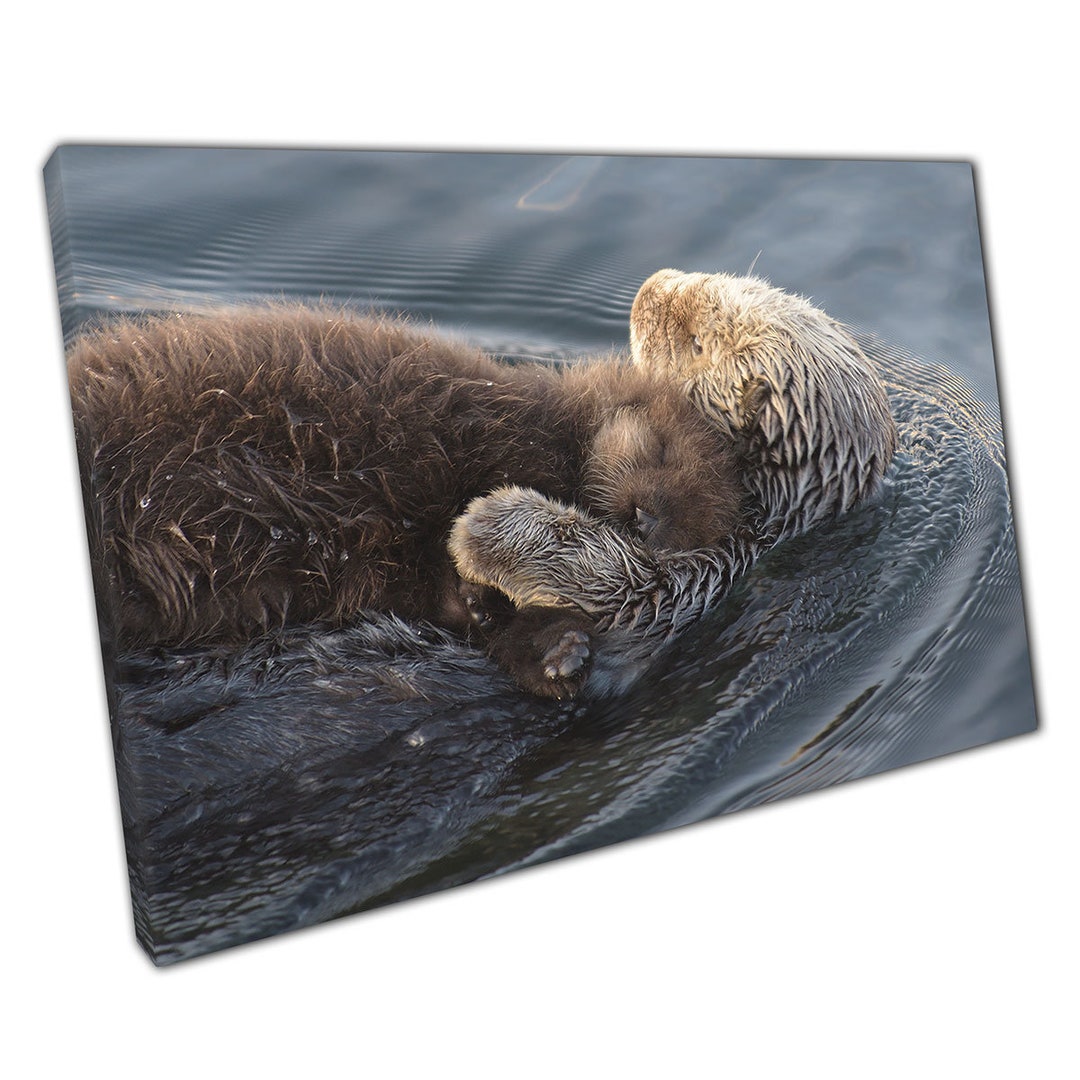 Cuddling Otters Canvas Wall Art Print Cute Home Office Decor From Morro ...