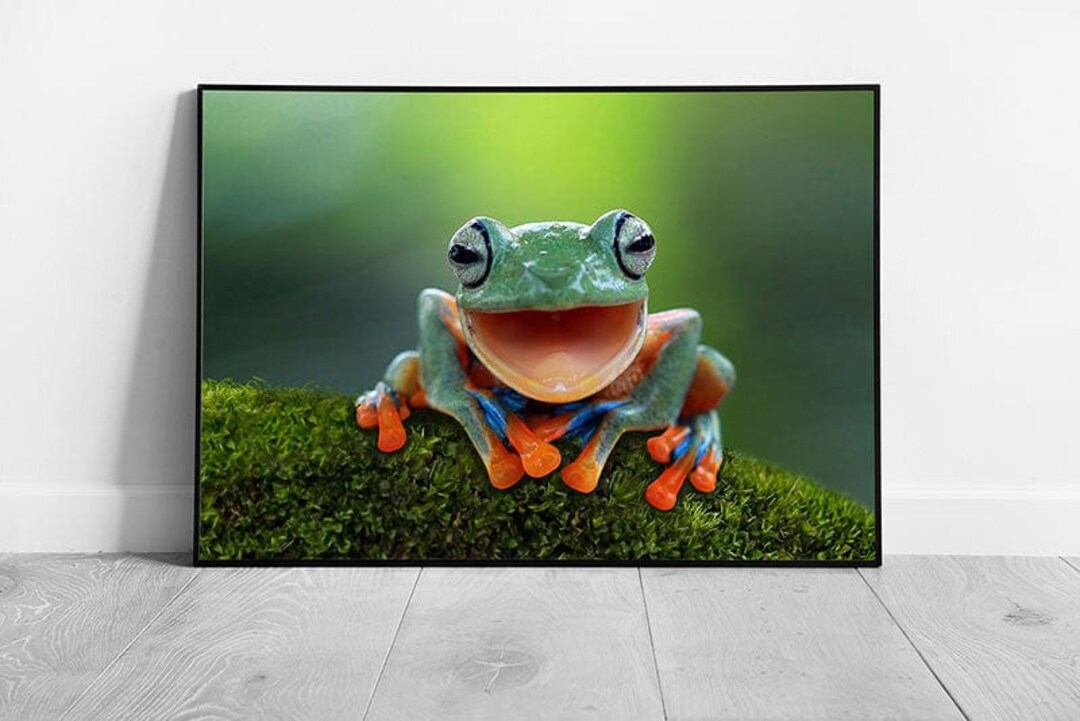Happy Tree Frog Wall Art Print Laughing on Mossy Rock Nature ...