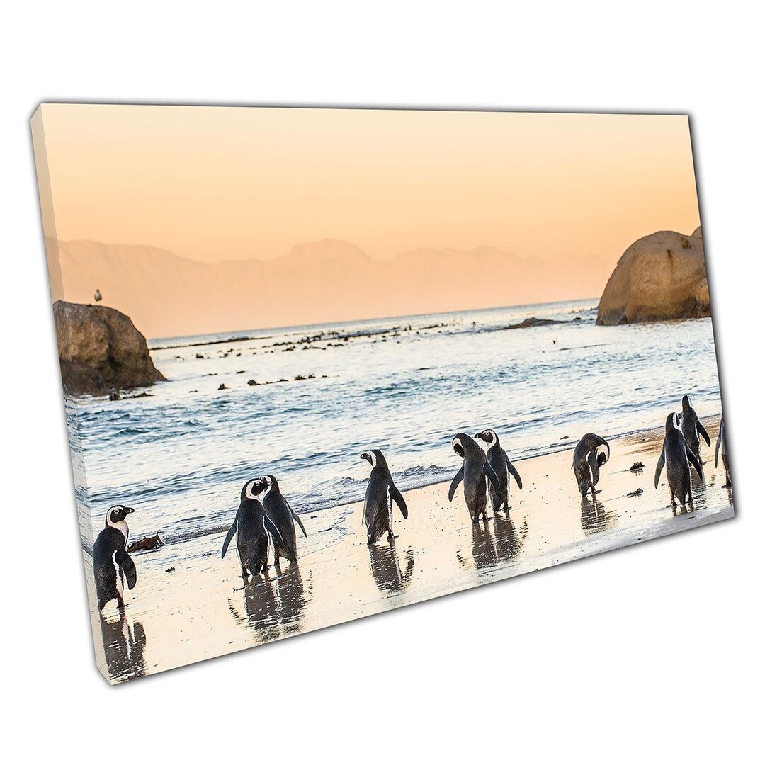 African Penguin Canvas Wall Art Print Sandy Beach Scene Near Water Cape ...