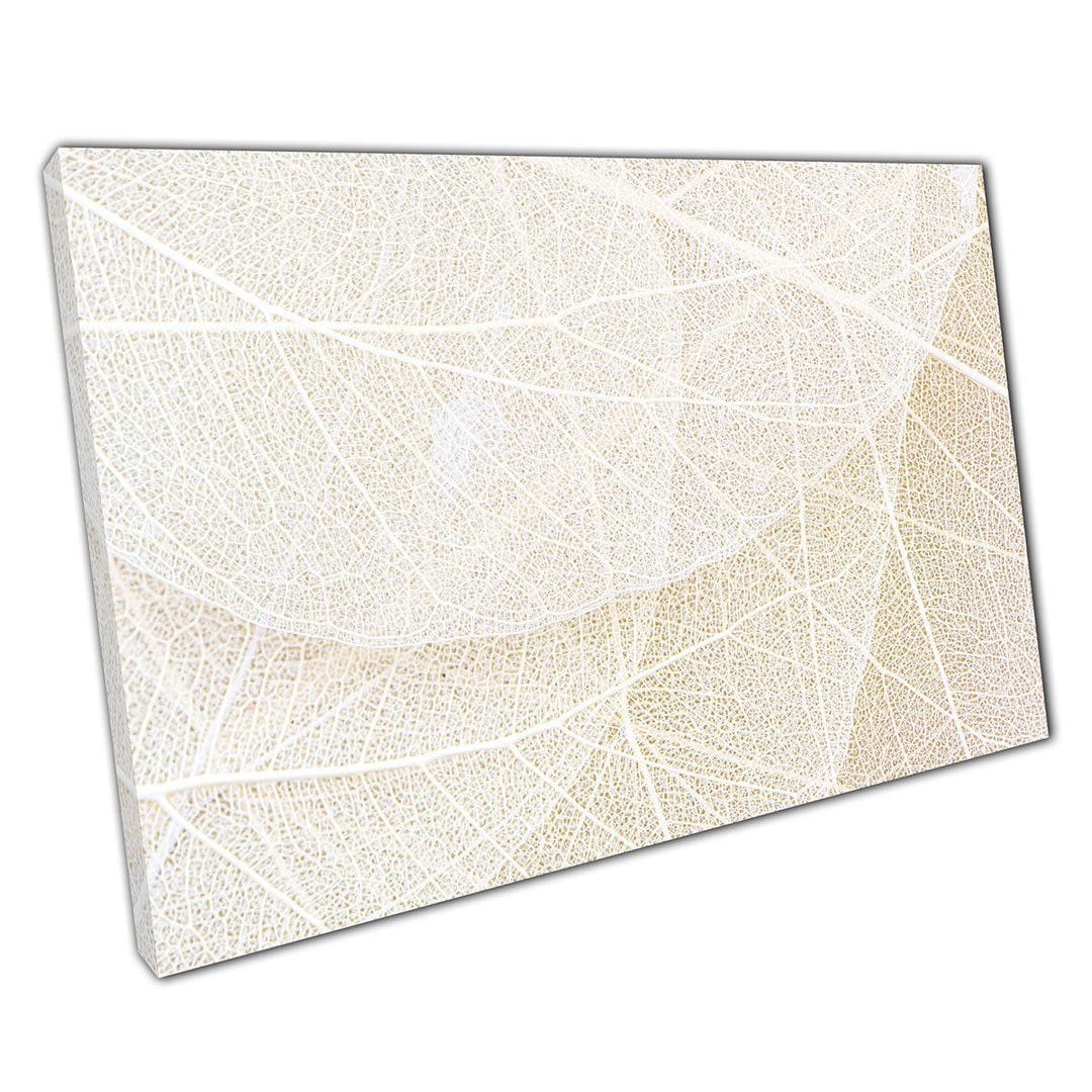 Minimalist Dried Skeleton Leaves Wall Art Print on Canvas - Neutral ...