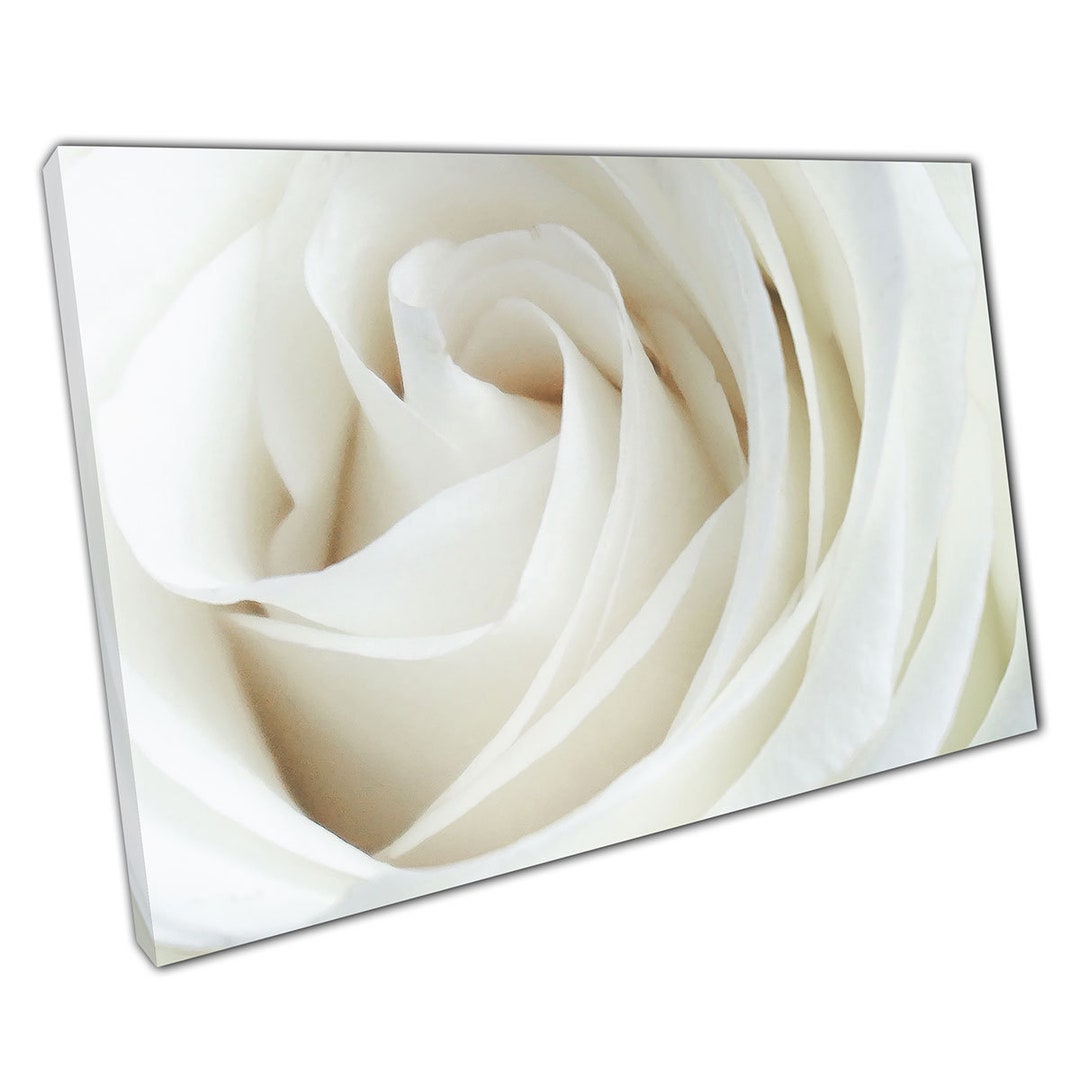 Dreamy White Rose Floral Art Canvas Wall Art Print on Canvas Picture ...