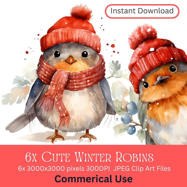 Christmas Elements, Cute Robin, Winter Clipart, Christmas in Heaven ...