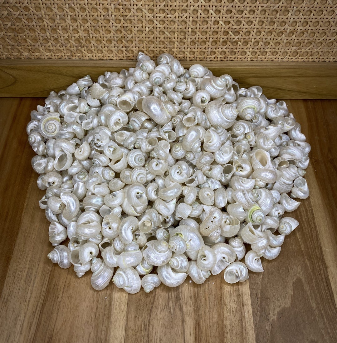 Pearled Dwarf Turban - Etsy