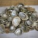 Oval Abalone (haliotis Ovina) 1kg - Etsy