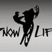 Snow Life / 18 Vinyl Vehicle Snowmobile Salt Life Style Graphic ...