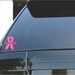 Survivor Ribbons / 2 PACK / Breast Cancer Awareness / Vehicle - Etsy
