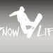 Snow Life / 18 Vinyl Vehicle Snowmobile Salt Life Style Graphic ...