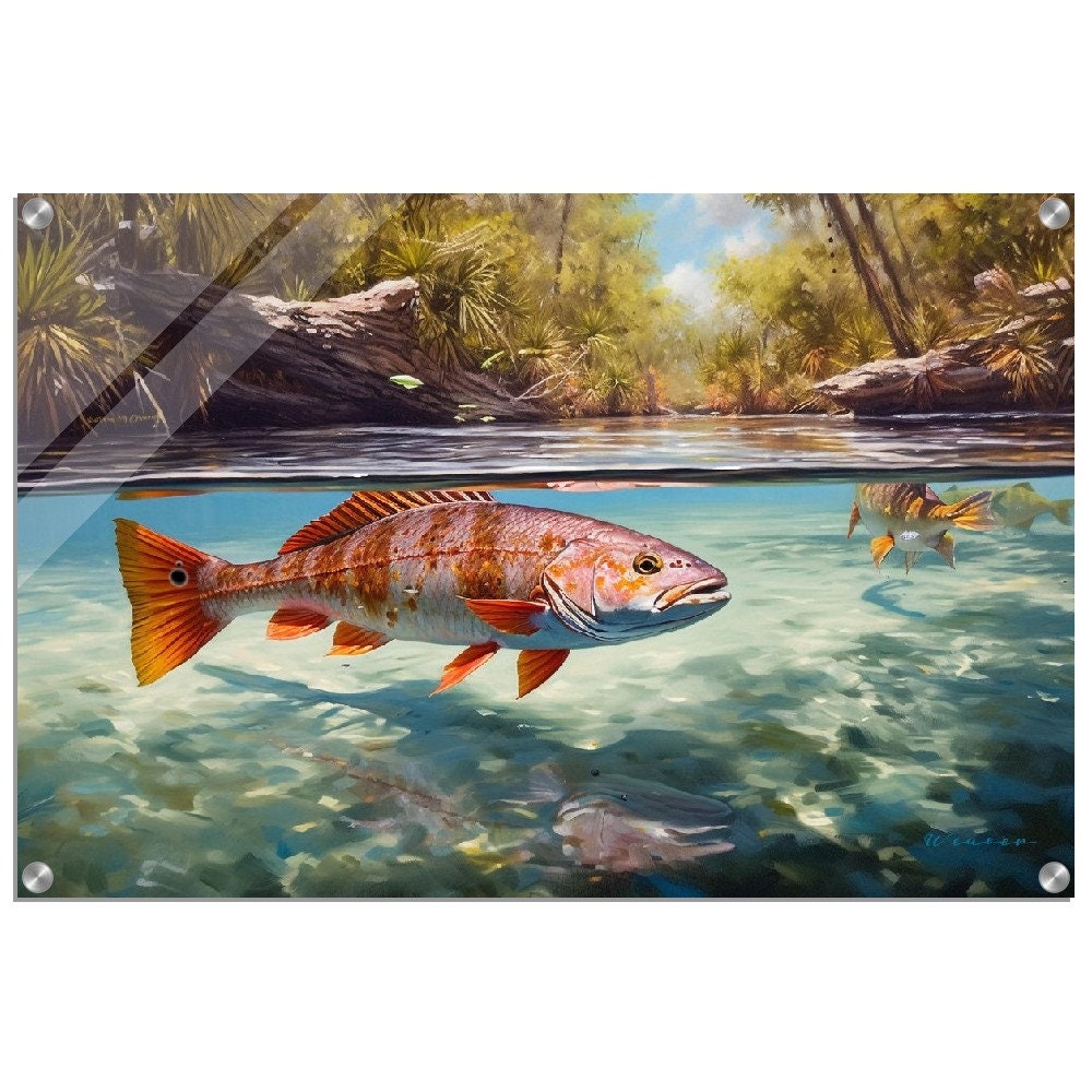 Florida Redfish Acrylic Print - Etsy