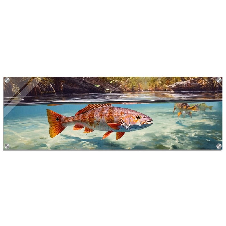 Florida Redfish Acrylic Print - Etsy
