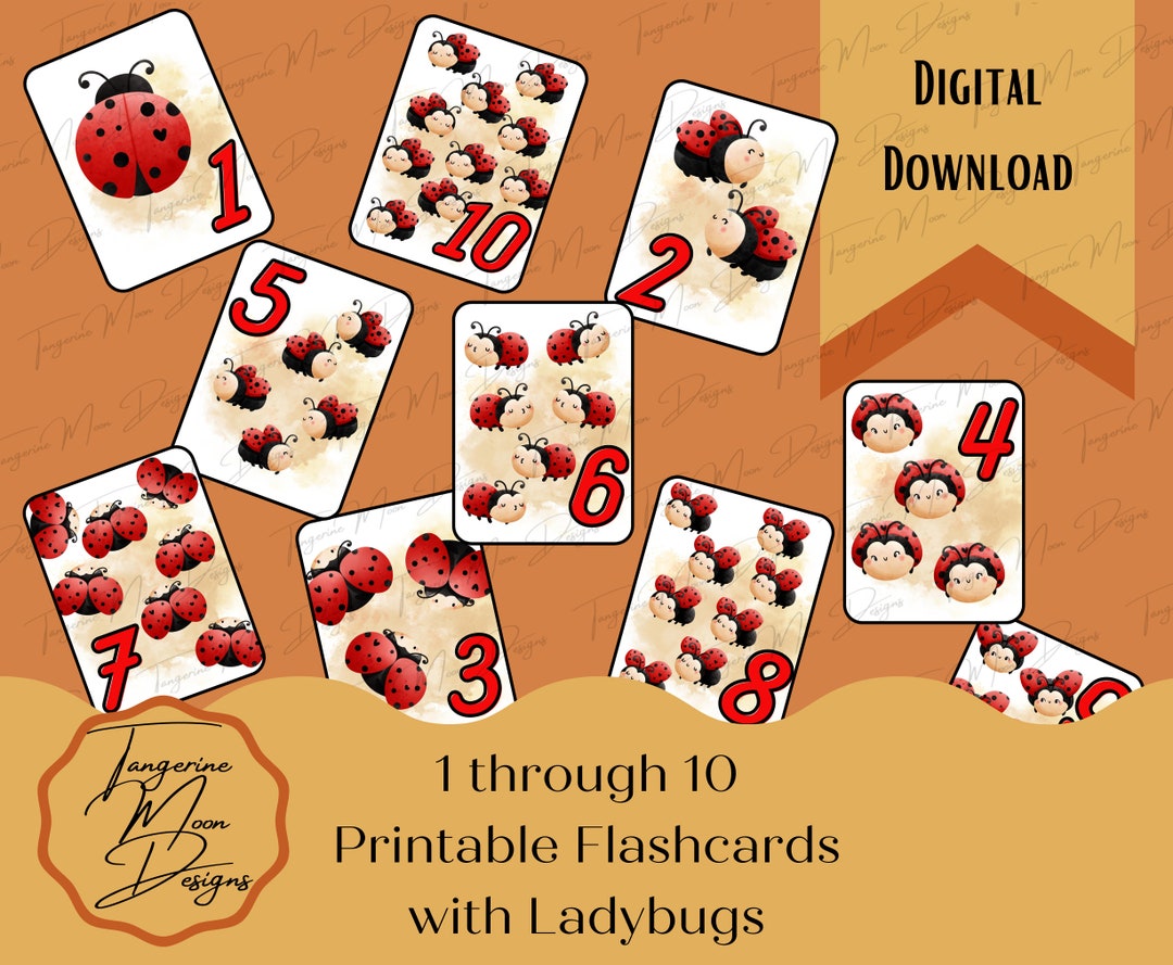 Ladybug Number Flashcards 1-10: Printable Learning Tool (digital ...