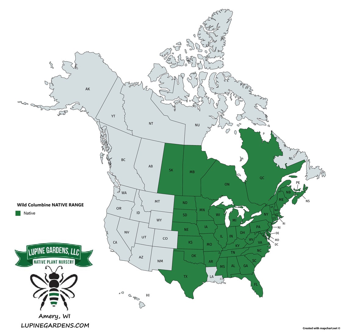100 Wild Columbine Seeds. Aquilegia Canadensis. *MEDICINAL* - Etsy