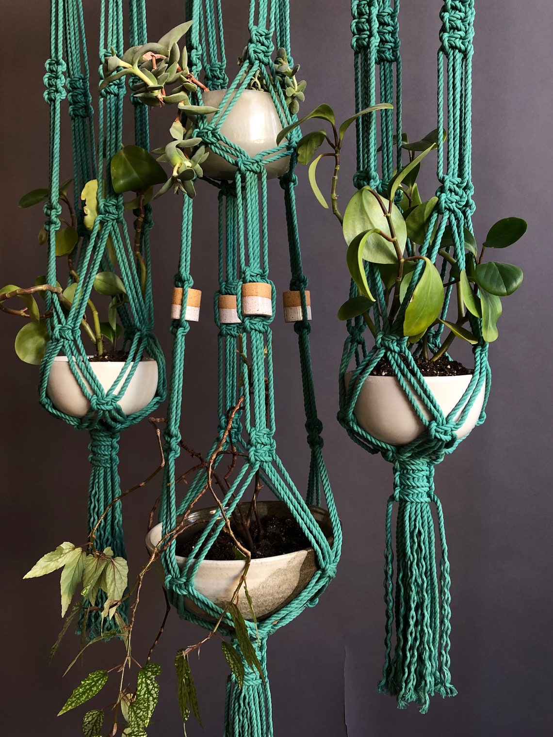 Hanging Garden Macramé Pattern Download - Etsy Canada