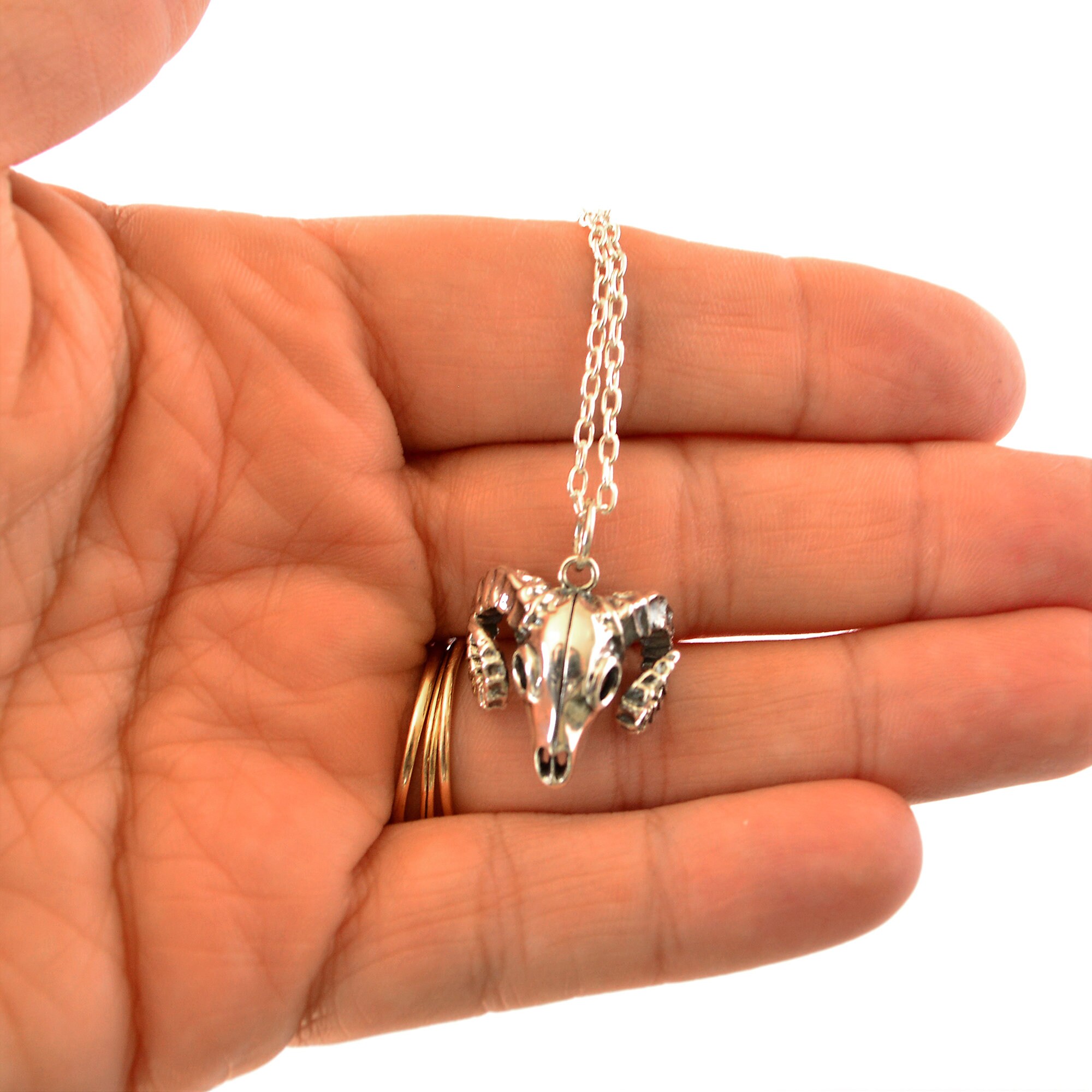Big Horn Sheep Ram Skull Talisman Necklace,sterling Silver - Etsy