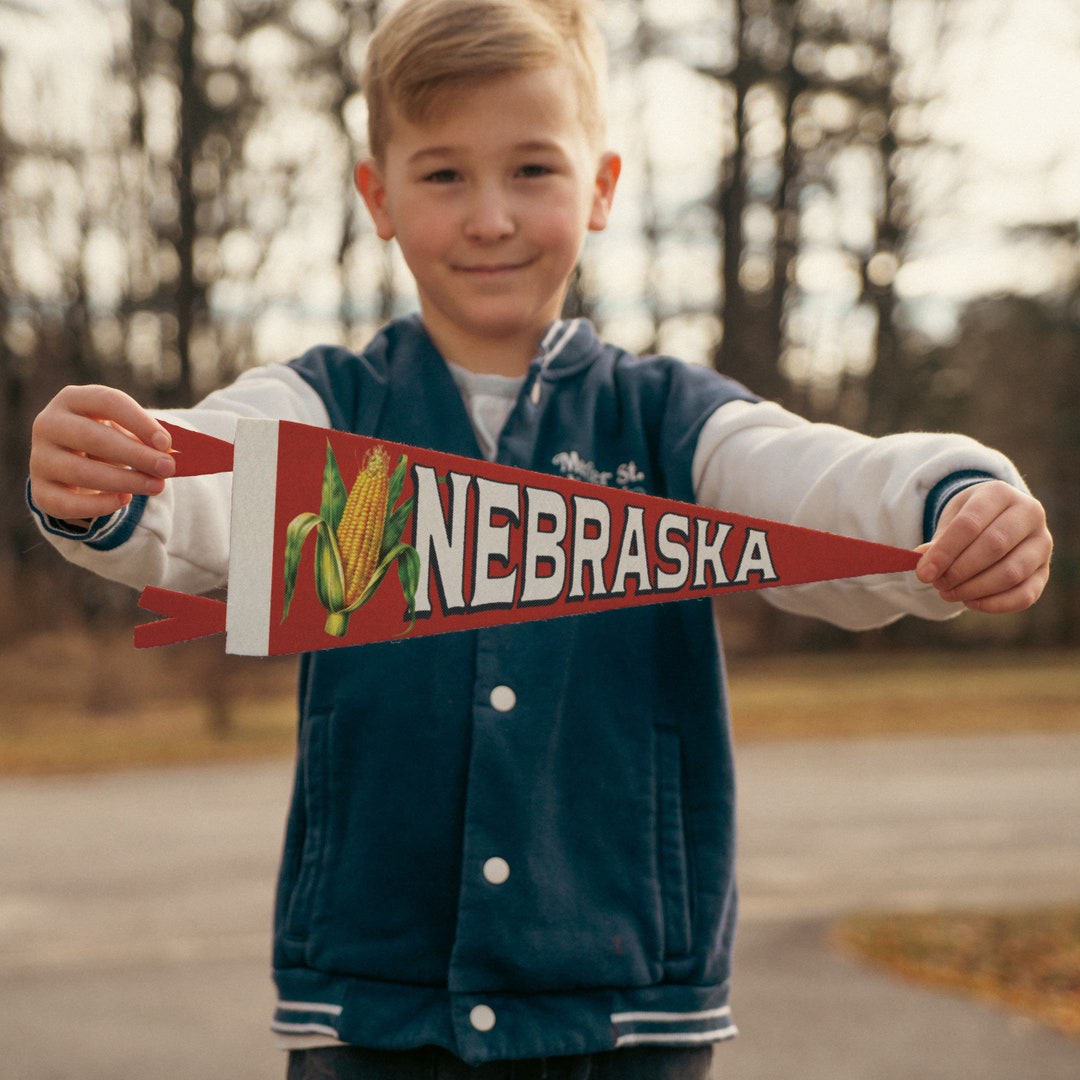 Nebraska Felt Pennant | Midwestern State Pride Banner Wall Art, Vintage ...