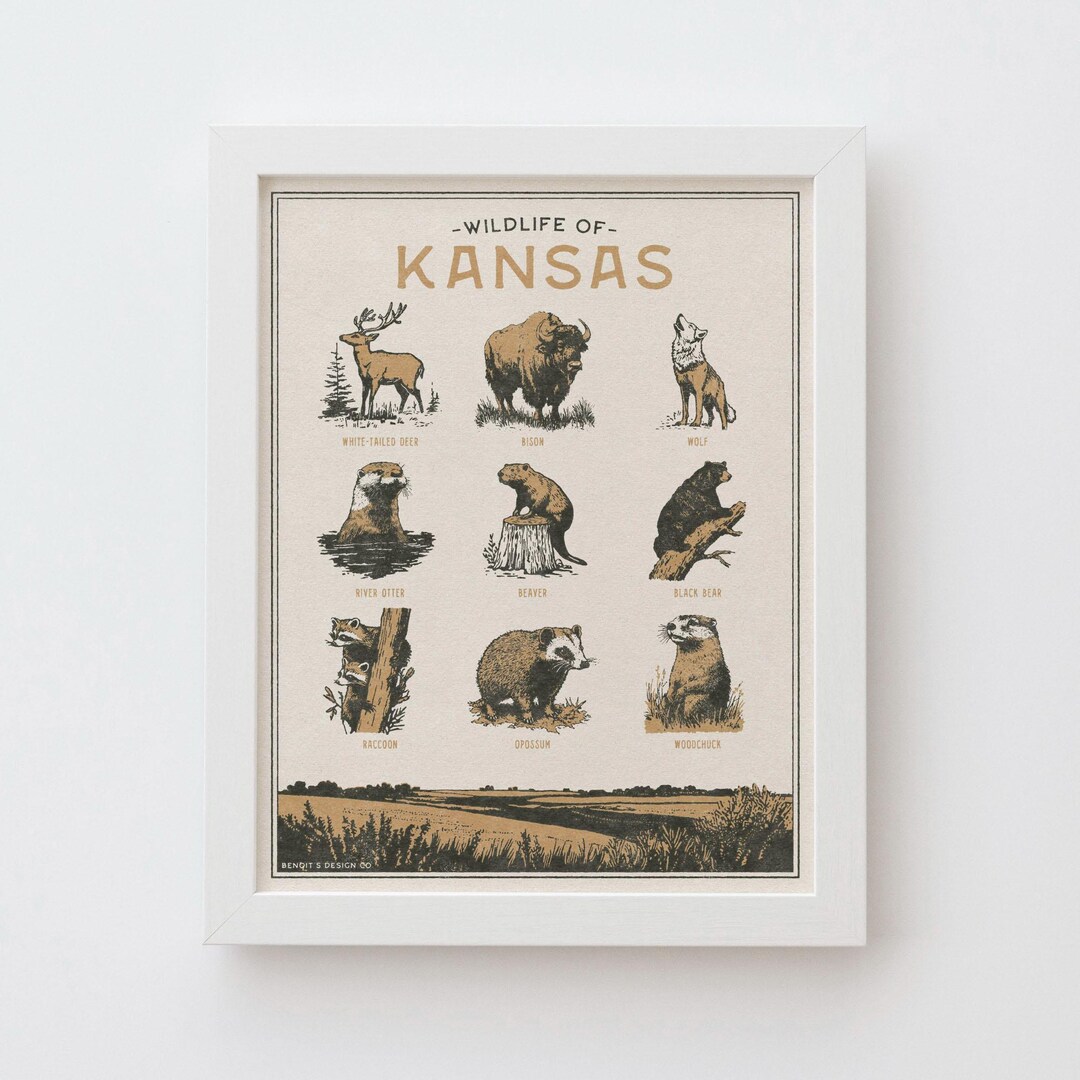 Kansas Wildlife Wall Art Print - Vintage Poster Design, Archival ...