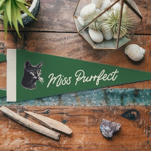 Custom Korat Cat Name Felt Pennant Personalized Bold Vintage Style ...
