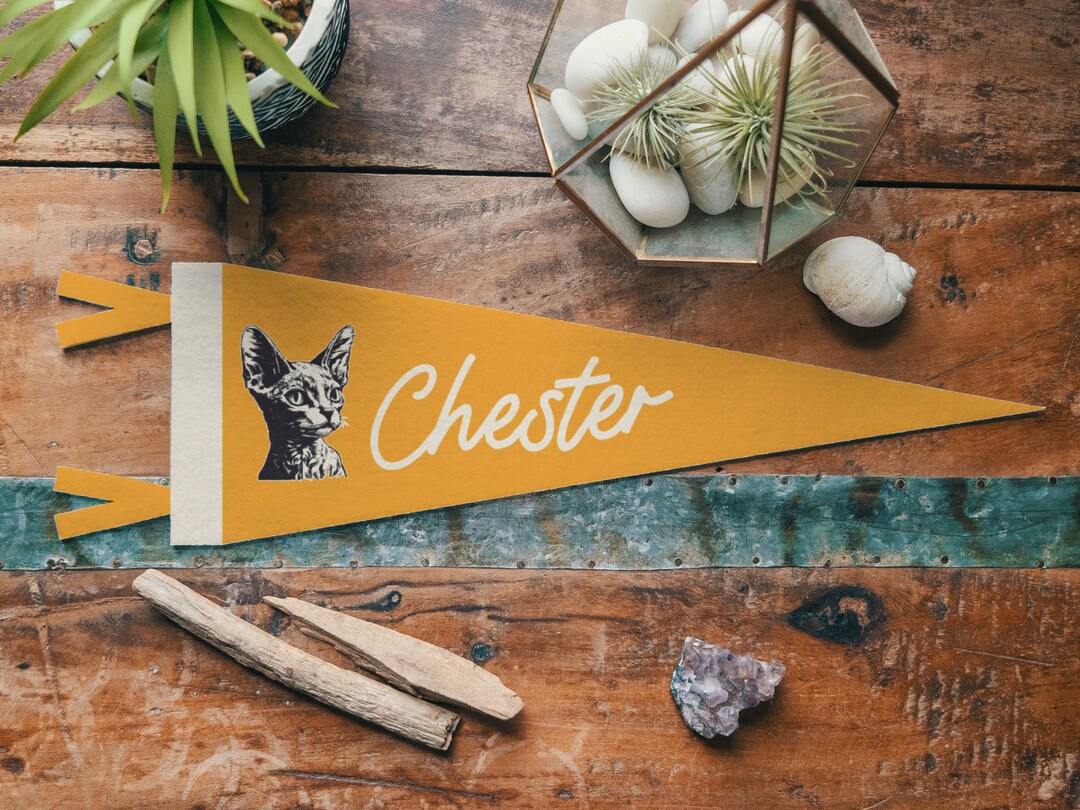 Custom Devon Red Cat Name Felt Pennant Personalized Bold Vintage Style ...