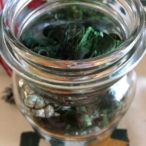 Vintage Pine Deluxe Jar, 1920s - Etsy