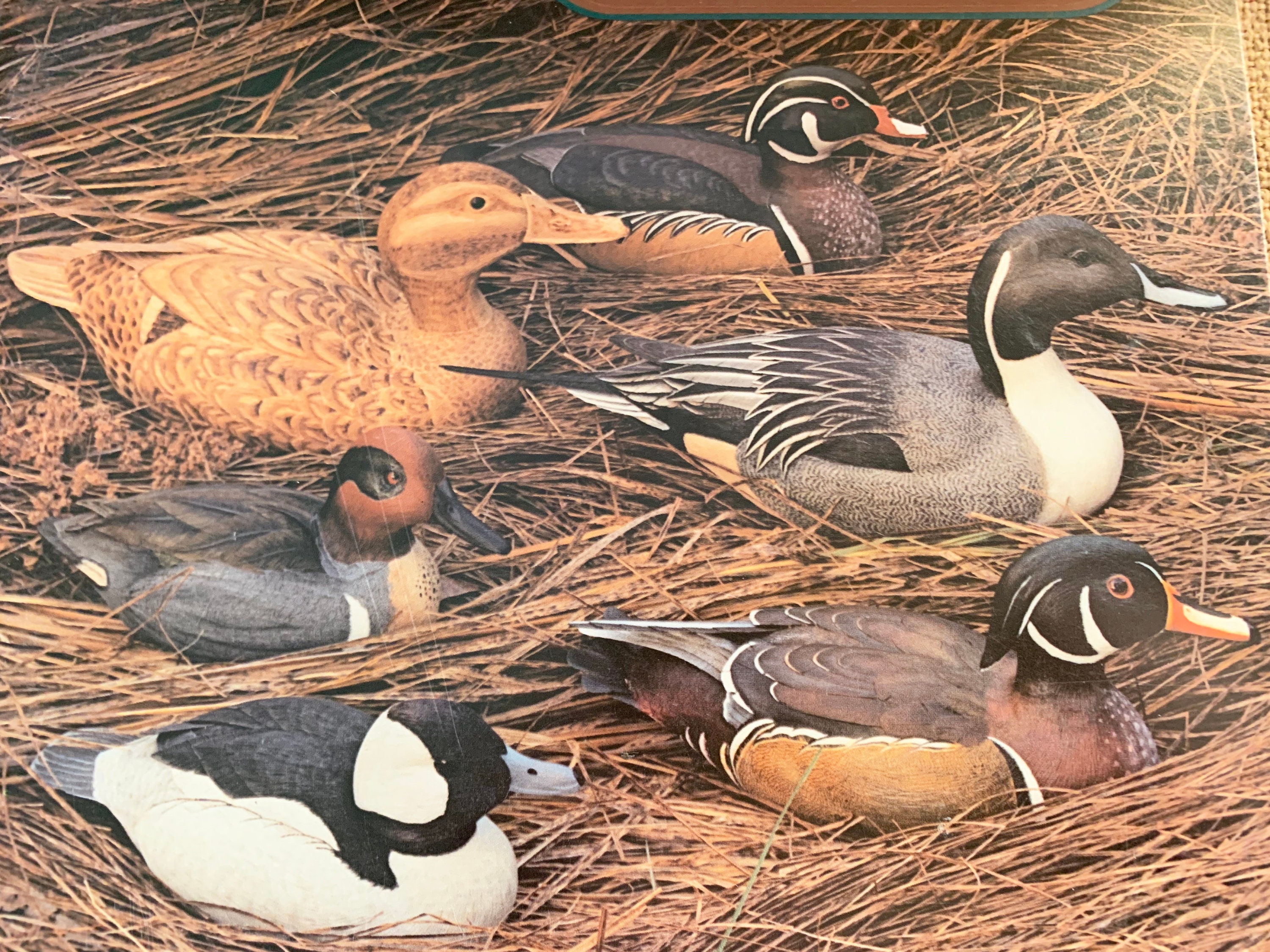 Wooden Ducks 12 Patterns and Instructions - Etsy