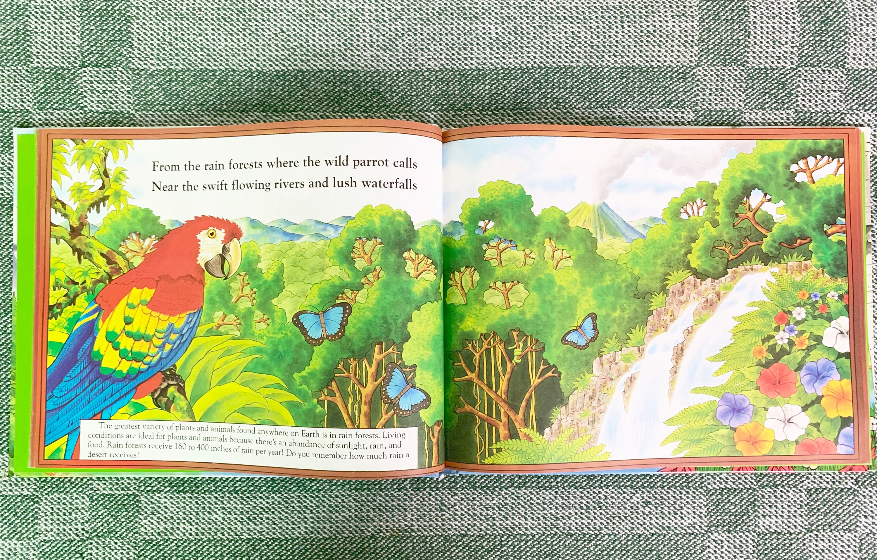 This is Our Earth by Laura Lee Benson 1994 - Etsy