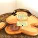 Wally Walleye Wall or Table Top Display, Handmade - Etsy