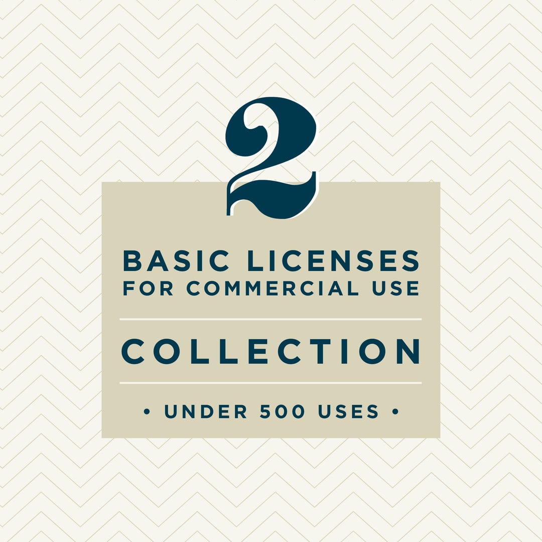 Two Basic Commercial Licenses Bundle // Collection // for Commercial ...