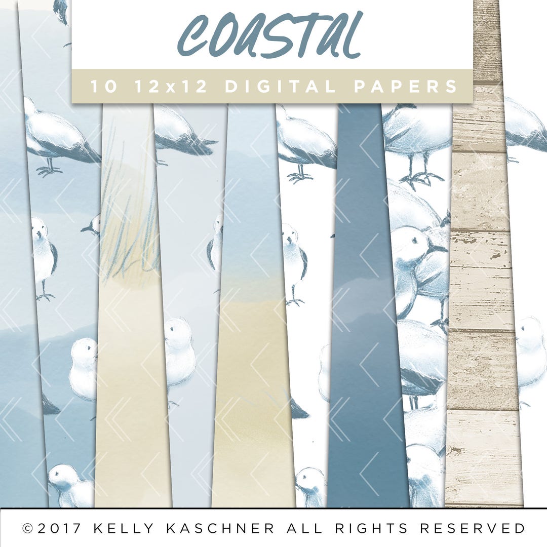 Coastal Collection Digital Papers // Seagull Coast Beach Stickers Paper ...