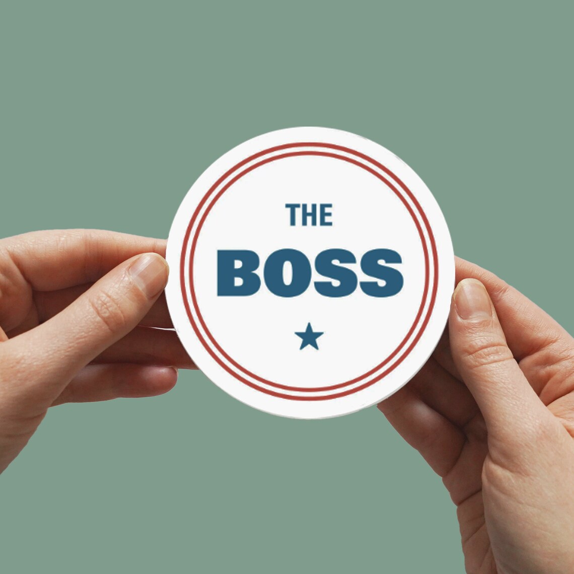 THE BOSS Sticker Bruce Springsteen Inspired Laptop Case - Etsy UK