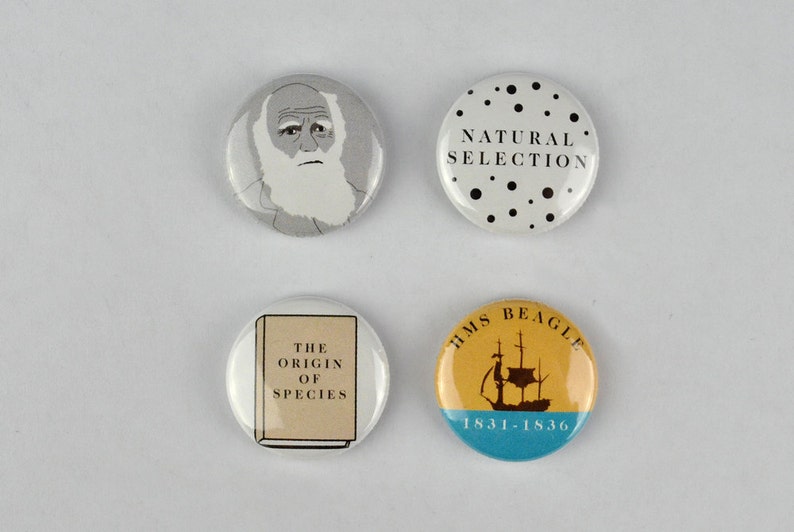 Charles Darwin Badges Evolution Natural Selection Survival | Etsy